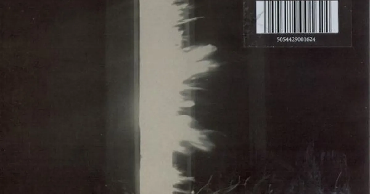 Fink Horizontalism Vinyl Record