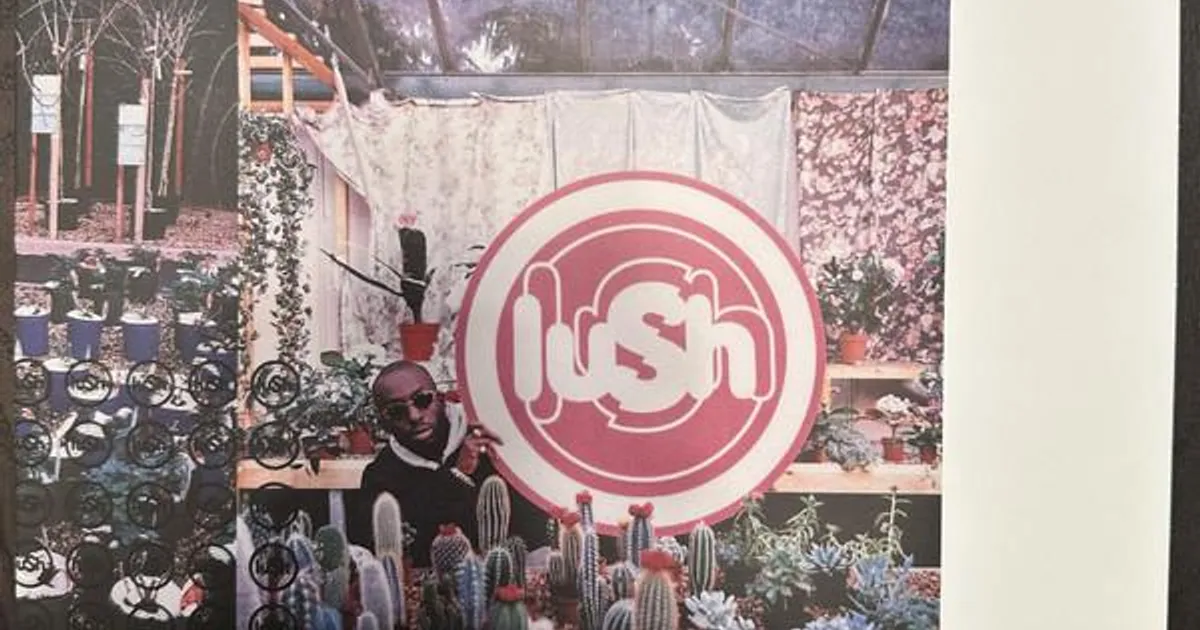 Lush LOVELIFE Vinyl Record