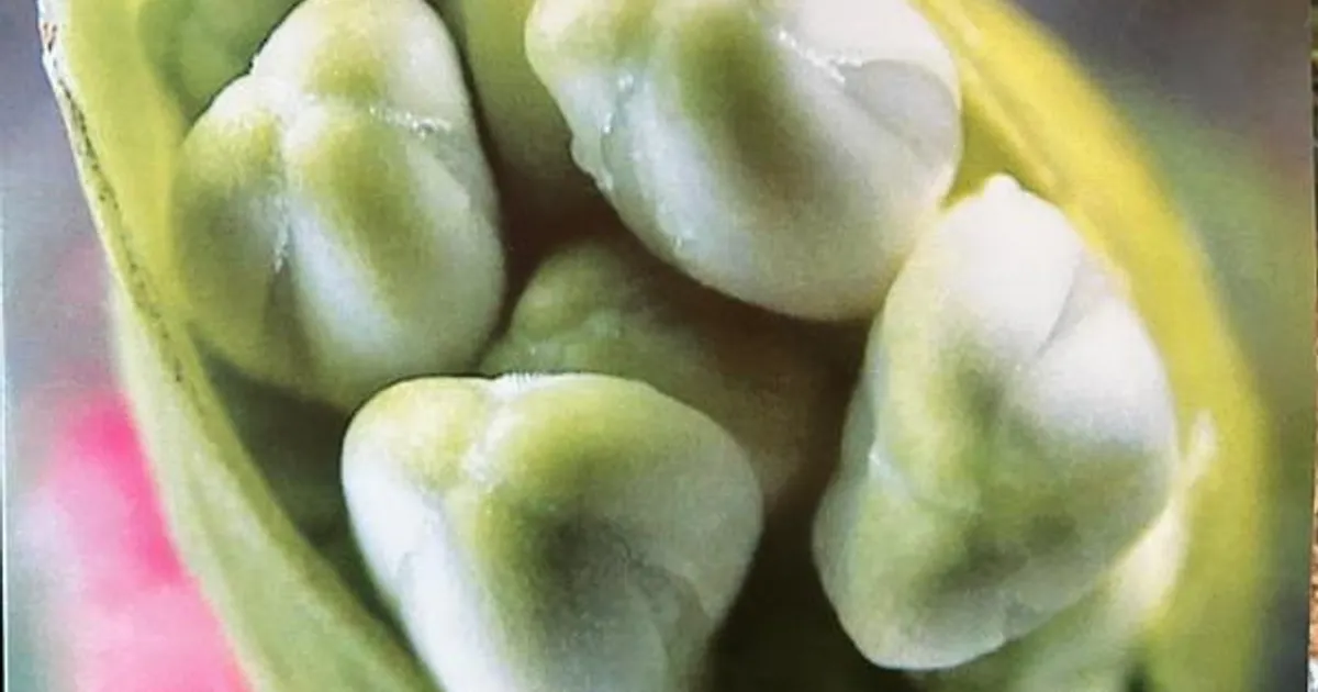 Fiona Apple EXTRAORDINARY MACHINES (2LP/180G) Vinyl Record