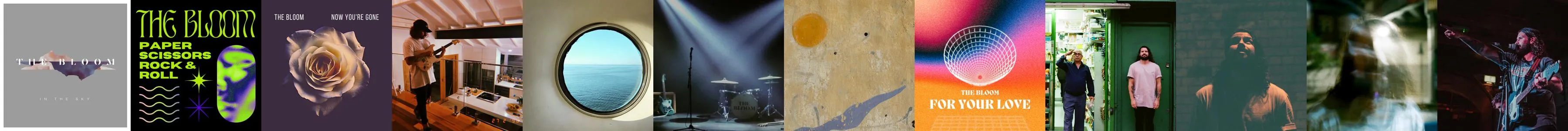 The Bloom Store: Official Merch & Vinyl