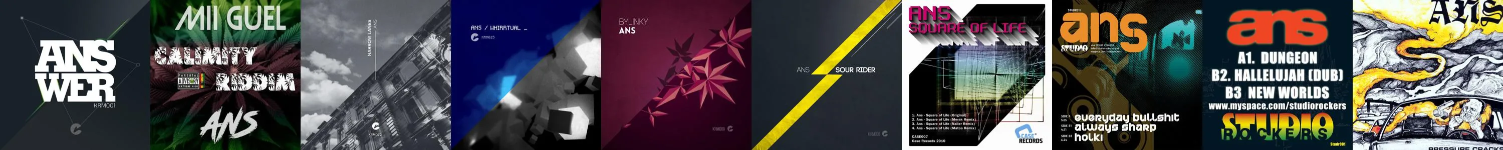 Ans Store: Official Merch & Vinyl