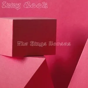 Izzy Cook Store: Official Merch & Vinyl