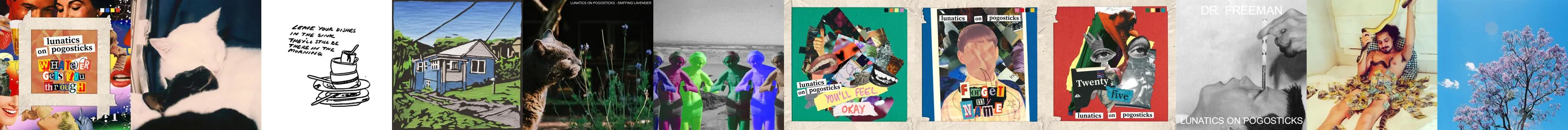 Lunatics On Pogosticks Store: Official Merch & Vinyl
