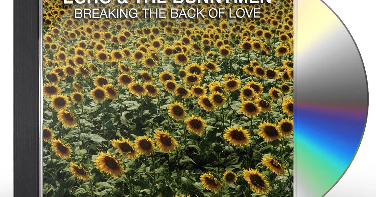 Echo & the Bunnymen BREAKING THE BACK OF LOVE CD