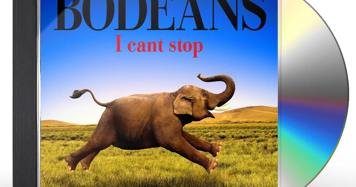 Bodeans I CAN'T STOP CD