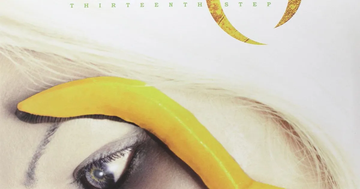 A Perfect Circle Thirteenth Step (2LP) Vinyl Record