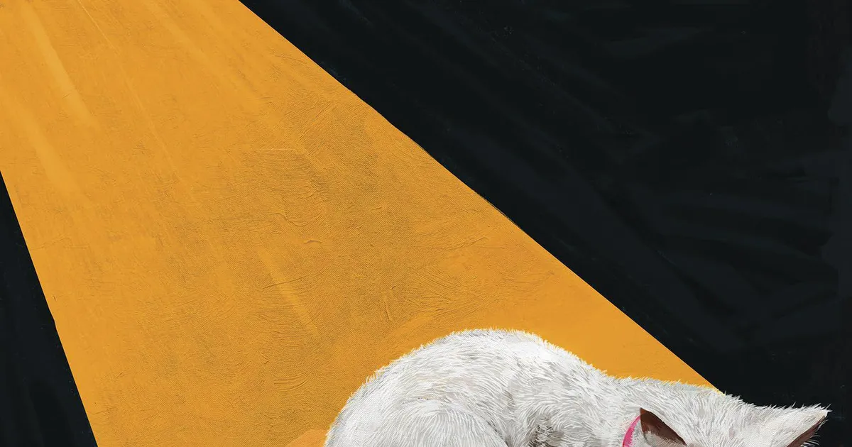 Joywave Permanent Pleasure Vinyl Record