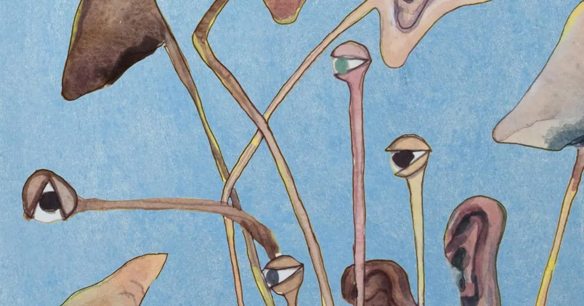 Cosmo Sheldrake EYE TO THE EAR Vinyl Record