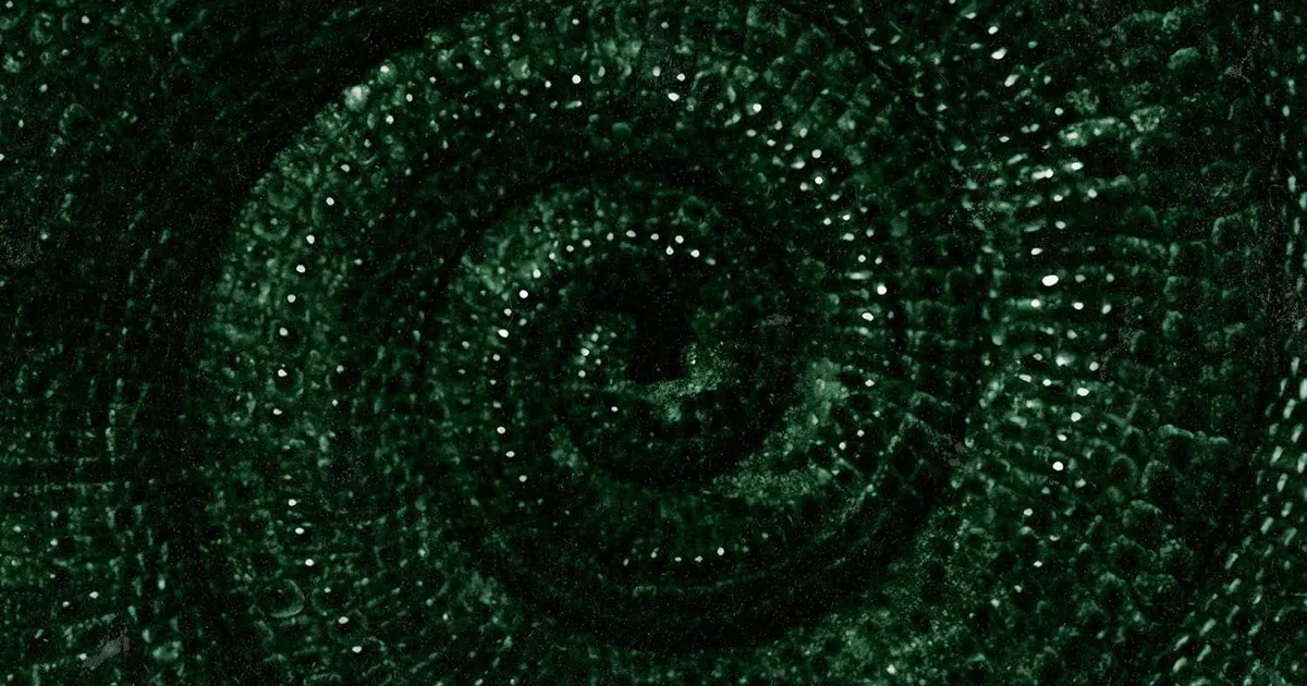 trauma ray Chameleon Vinyl Record