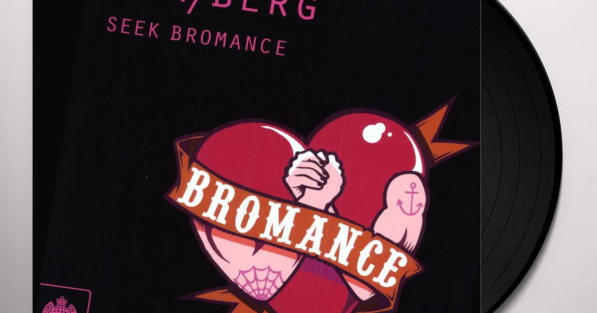 Tim Berg Seek Bromance Vinyl Record