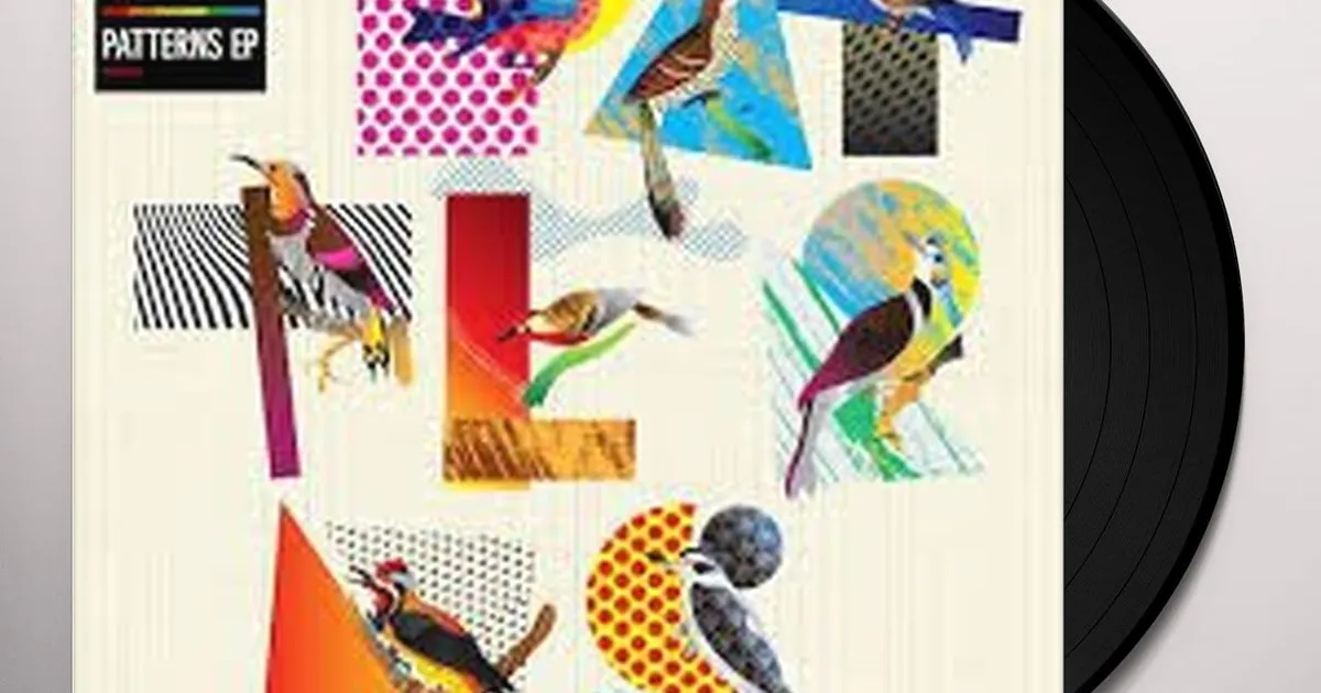 Dale Earnhardt Jr Jr PATTERNS Vinyl Record