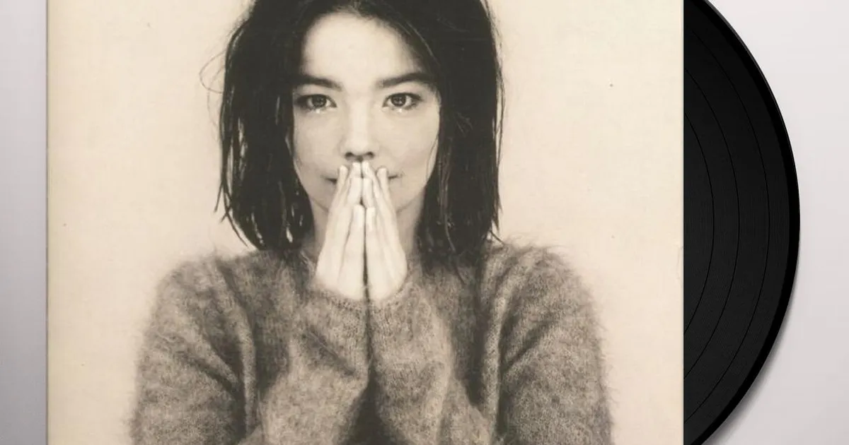 Björk Debut Vinyl Record