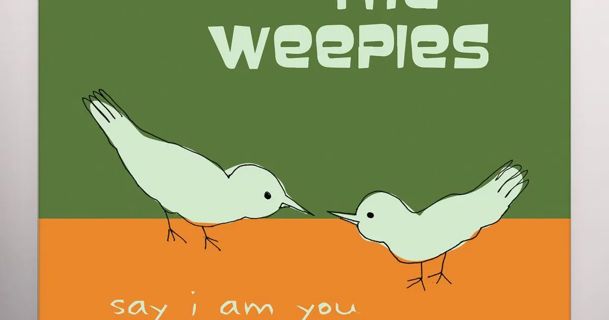 The Weepies Say I Am You Vinyl Record