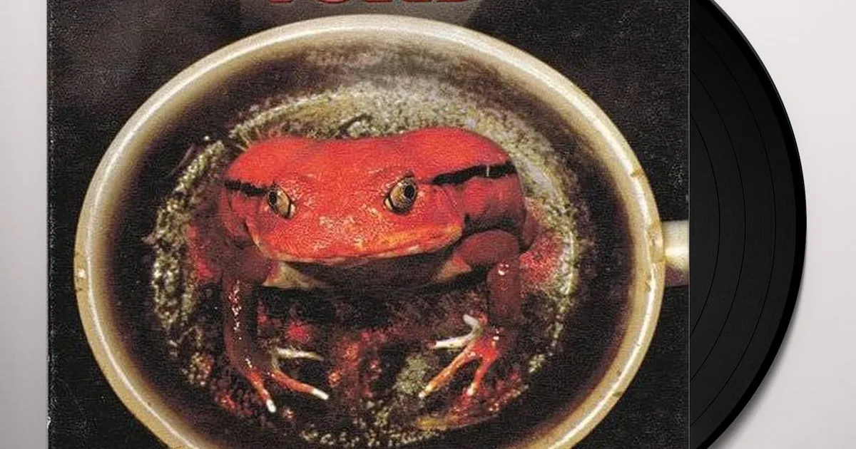 Toad Stop This Crime Vinyl Record