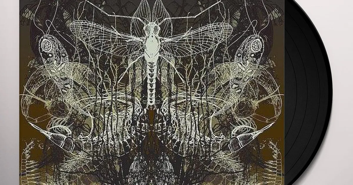 Architects Ruin Vinyl Record