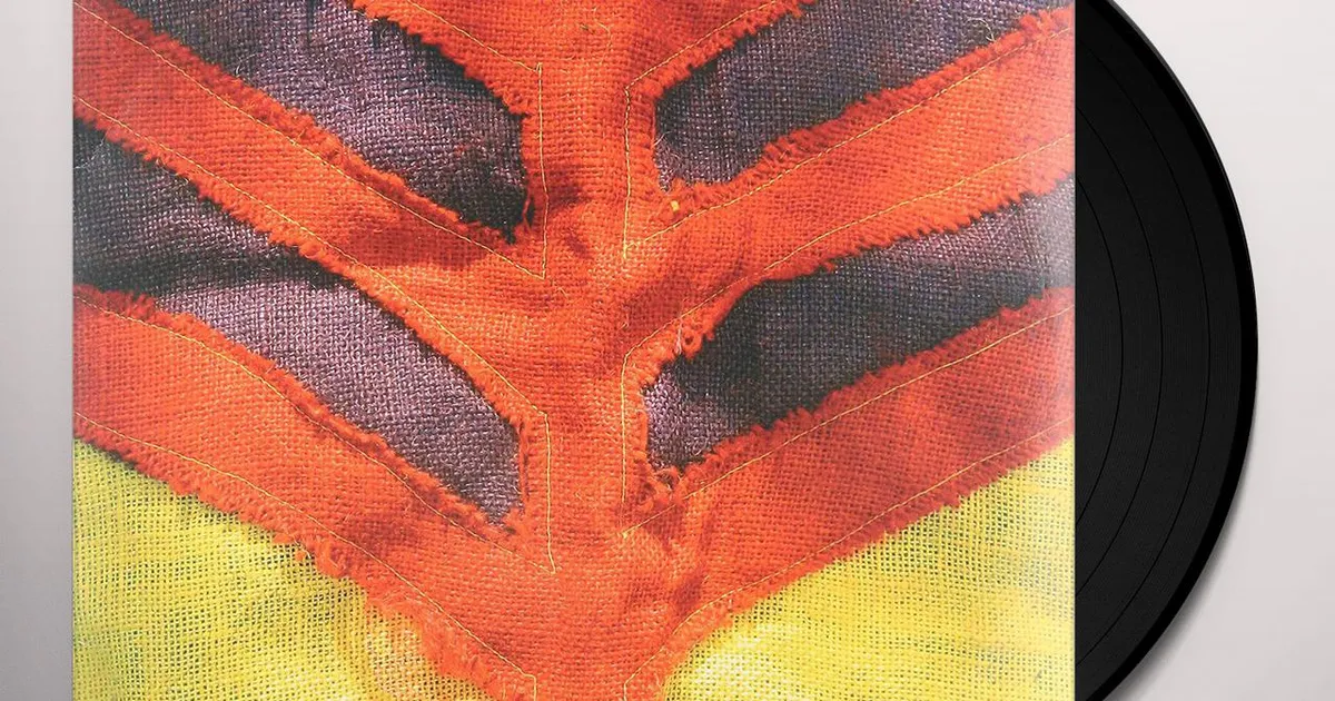 Yeah Yeah Yeahs Show Your Bones Vinyl Record