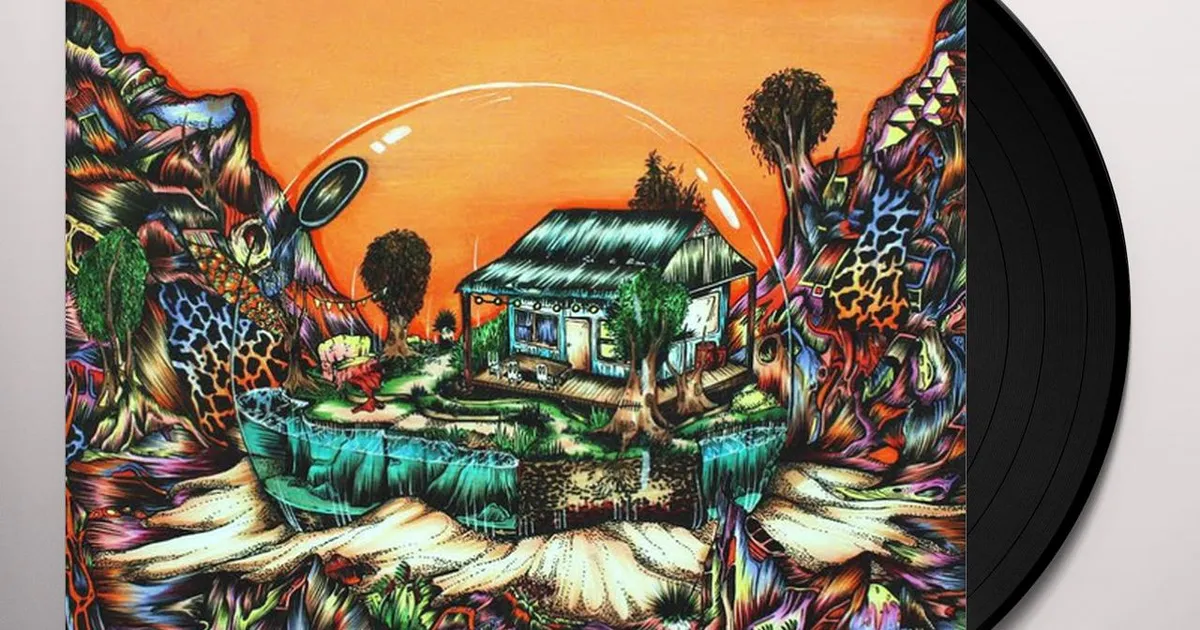 Koi Child Vinyl Record