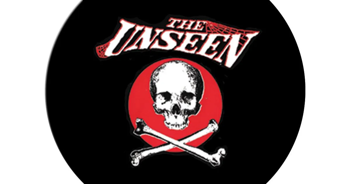 The Unseen Skull Pin