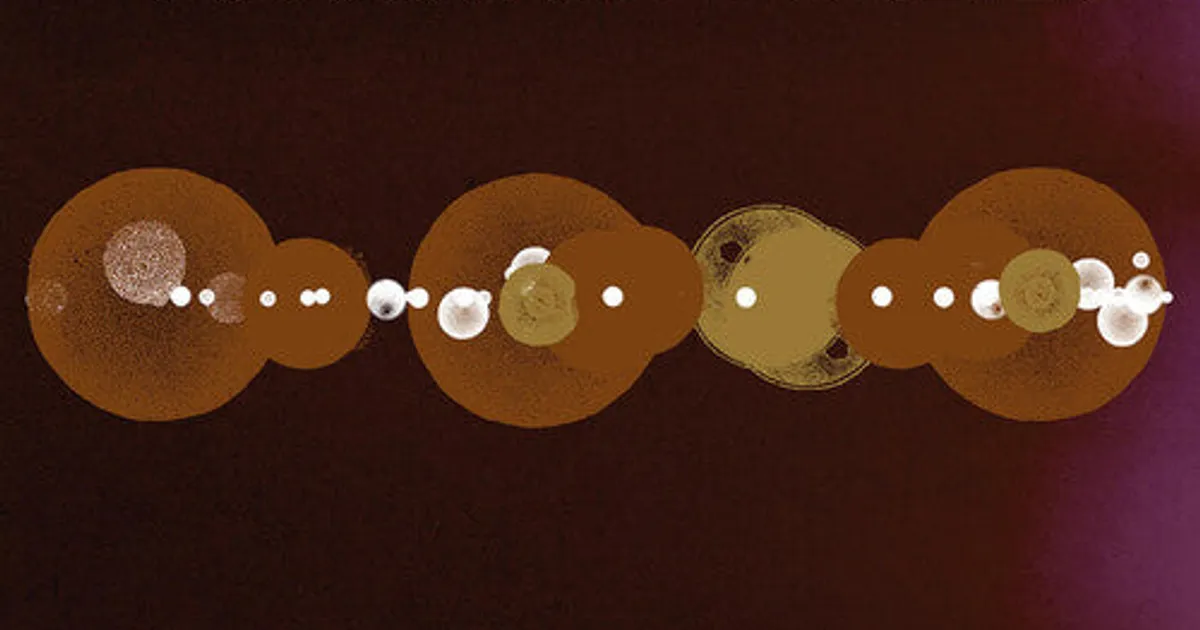 The American Analog Set LP Vinyl - For Forever (Gate Fold)