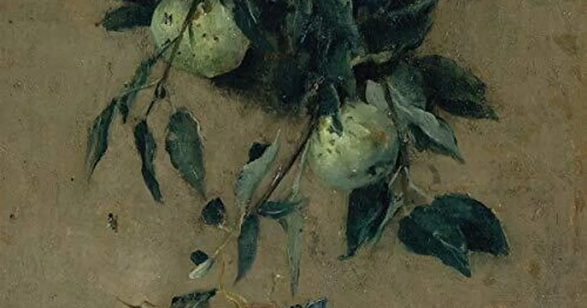 Exploded View LP Vinyl - Obey (Coloured Vinyl) (Pnk)