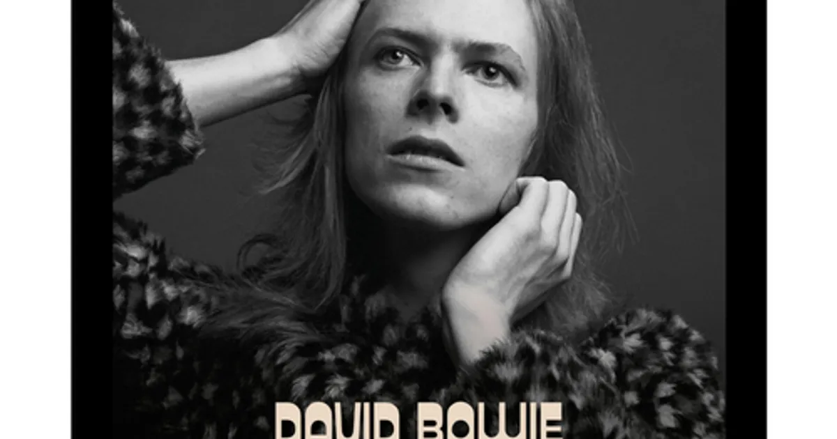 David Bowie A Divine Symmetry Vinyl Record