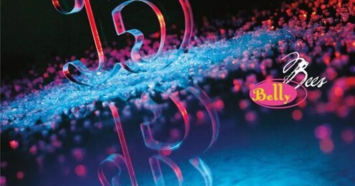 Belly Bees Vinyl Record