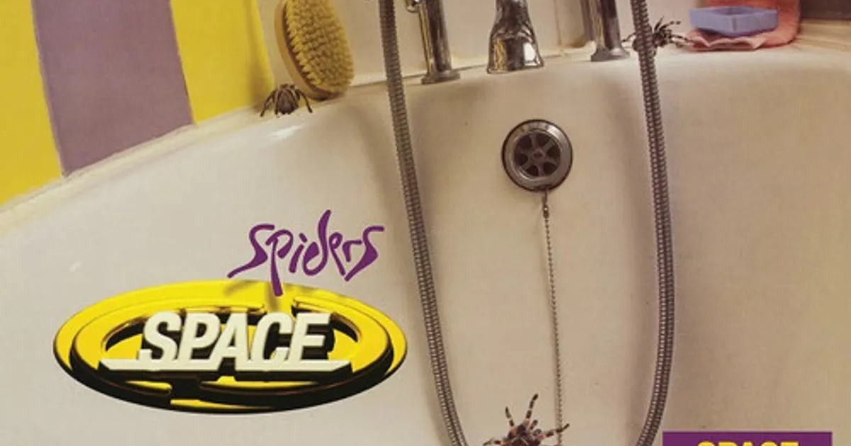 Space Spiders Vinyl Record