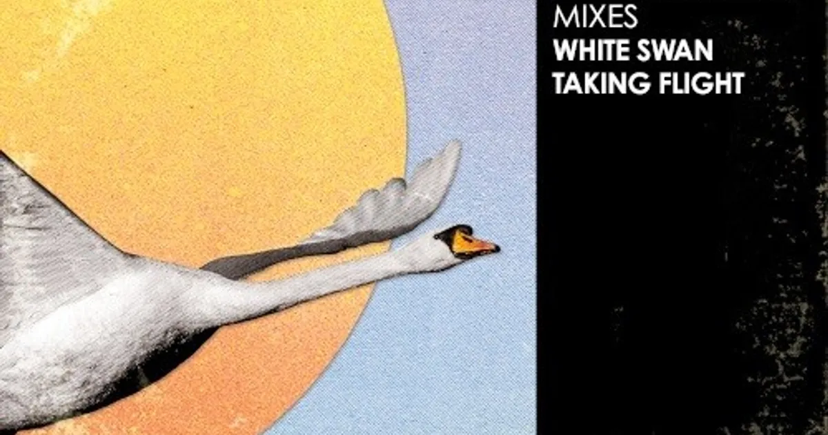 DJ Drez PARAMAHAMSA MIXES - WHITE SWAN TAKING FLIGHT CD