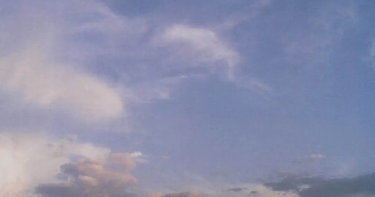 Samiam SOAR - HAZE Vinyl Record