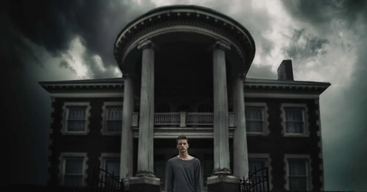 NF MANSION Vinyl Record