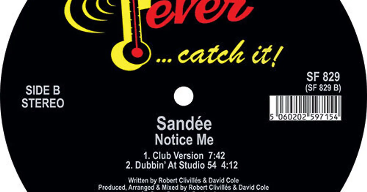 Sandee NOTICE ME Vinyl Record