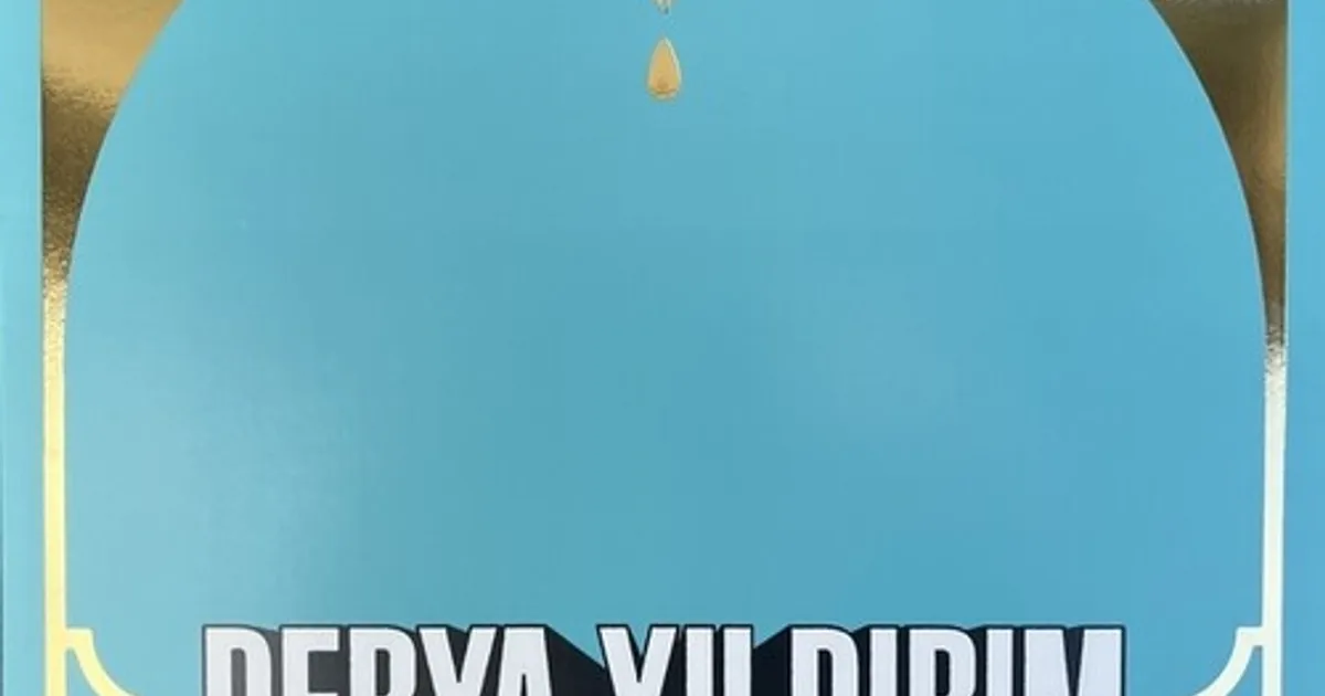 Derya Yildirim / Grup Simsek Dost 1&2 (2LP) Vinyl Record