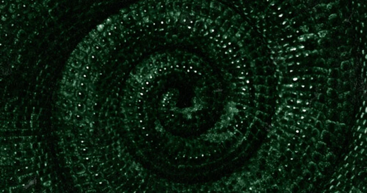 trauma ray CHAMELEON Vinyl Record