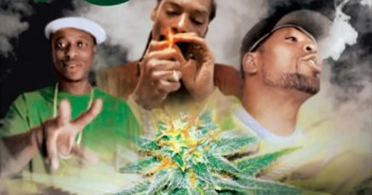 Berner UP IN SMOKE DVD