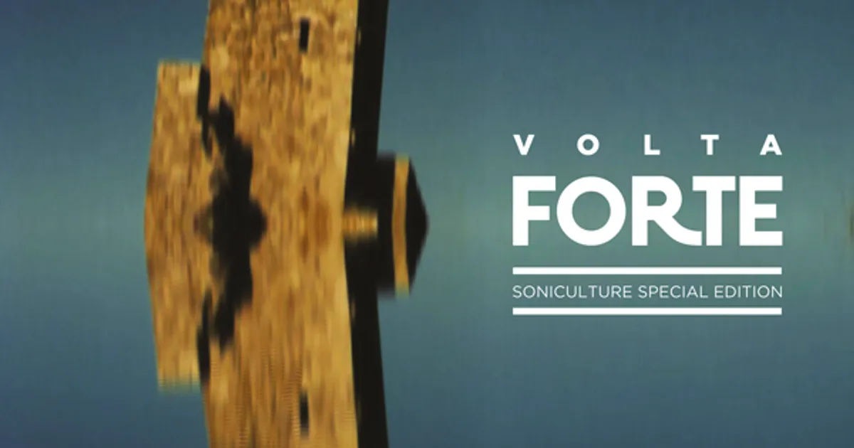 Expander Volta Forte Vinyl Record