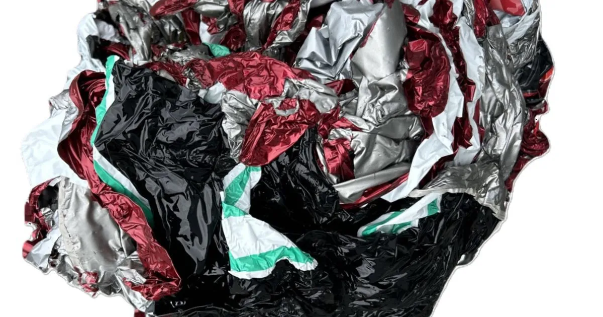 Hendrick Motorsports Chase Elliott #9 2024 40th Anniversary Ruby Red ...