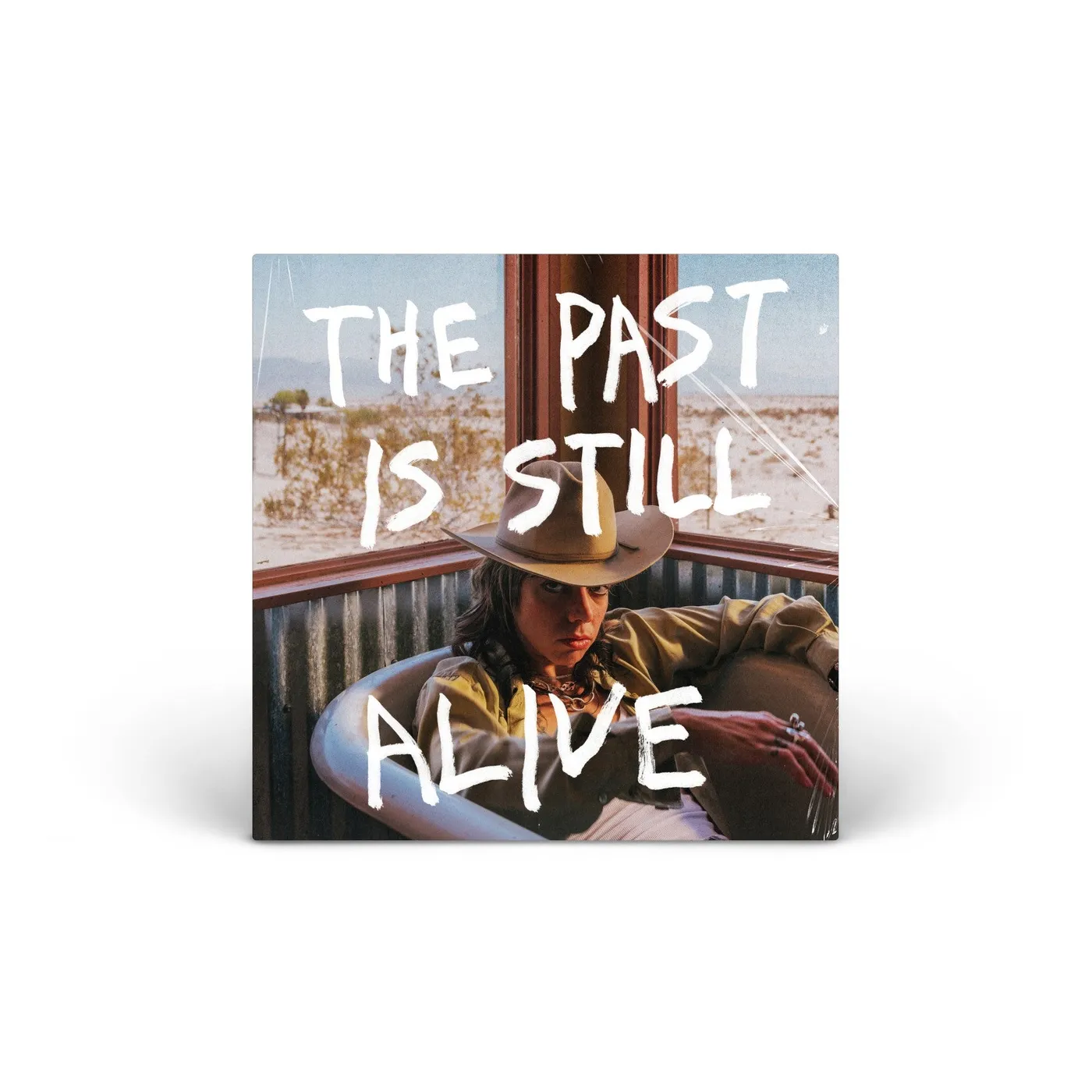 Hurray For The Riff Raff The Past Is Still Alive vinyl LP